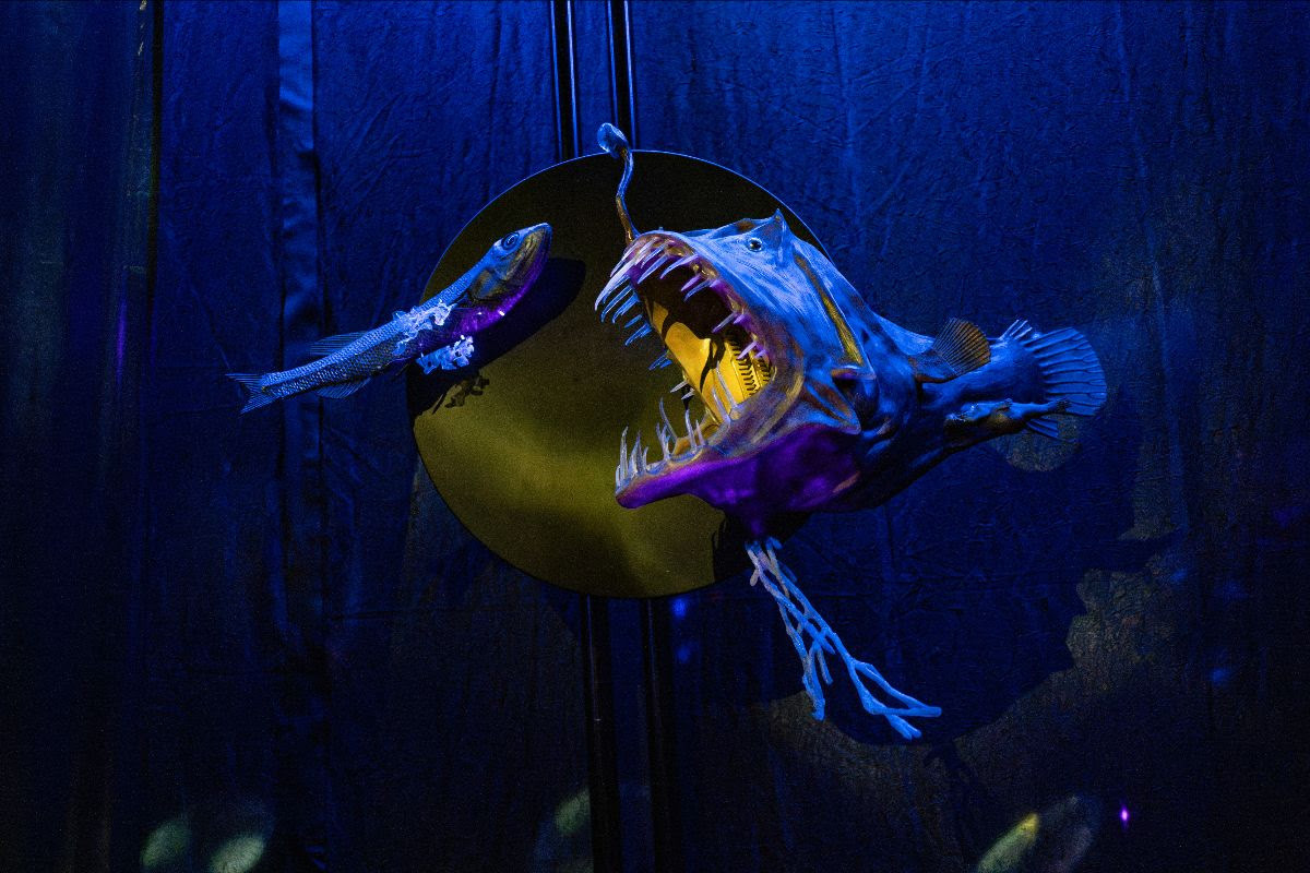 Creatures of Light: Nature's Bioluminescence | ColumbusMakesArt.com (en-US)