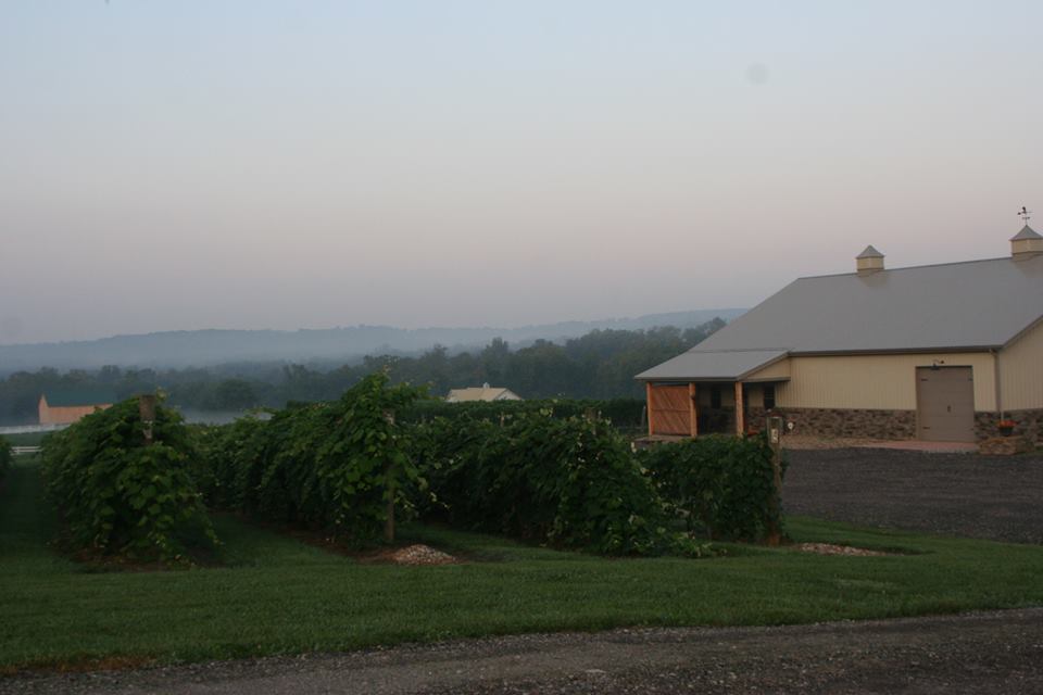 Rockside Winery & Vineyards | ColumbusMakesArt.com (en-US)