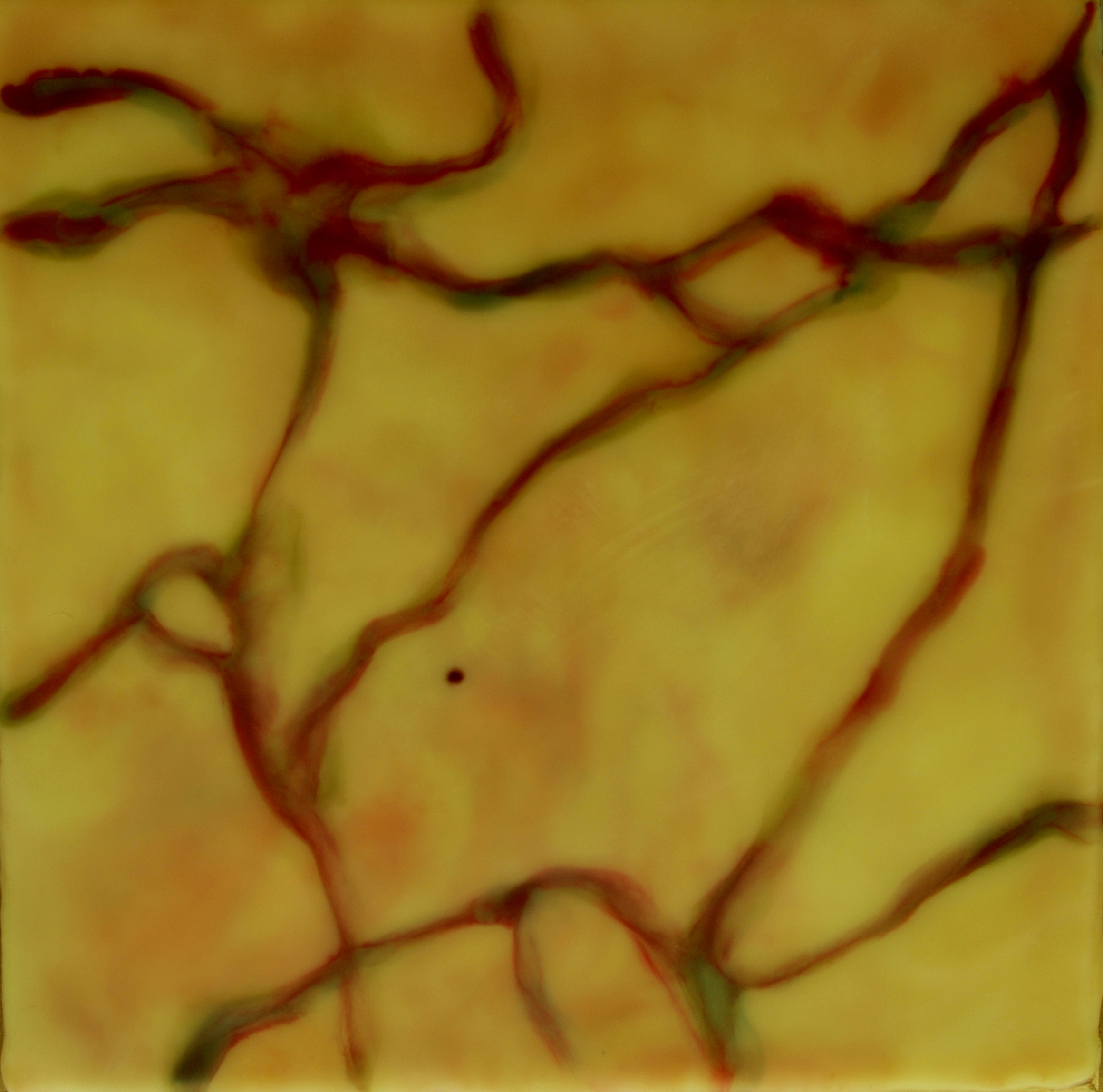 Kim Covell Maurer | ColumbusMakesArt.com (en-US)