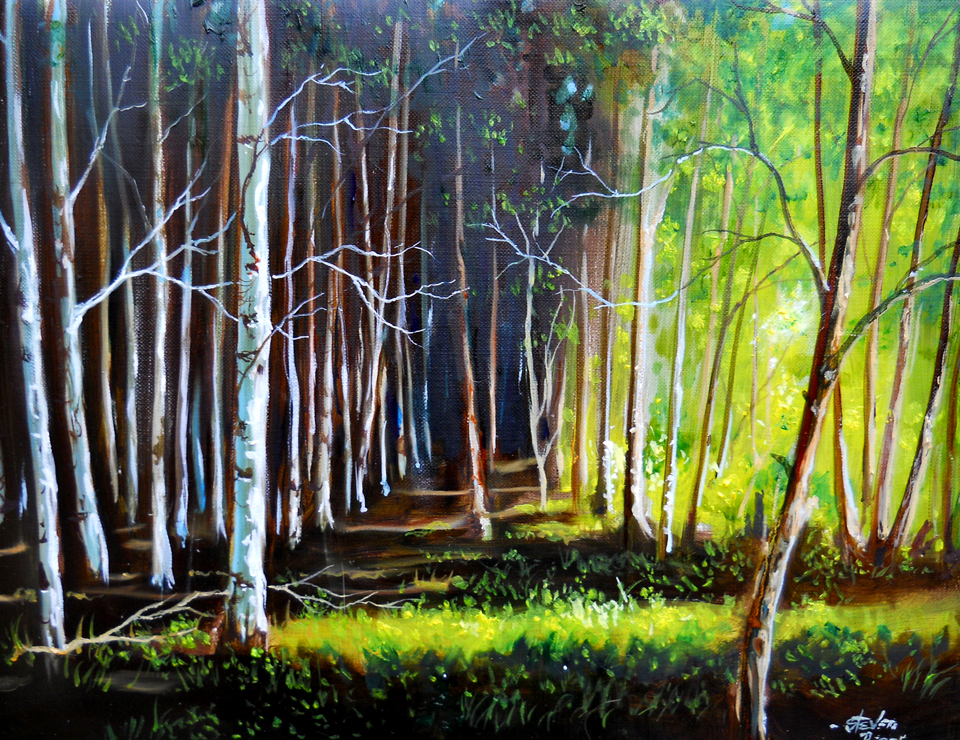 Steven Riggs, artist | ColumbusMakesArt.com (en-US)