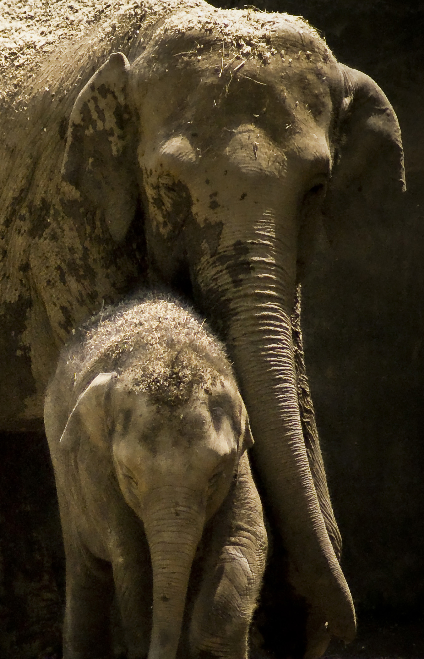 Mrs. Melanie Elek Celello | ColumbusMakesArt.com (en-US)