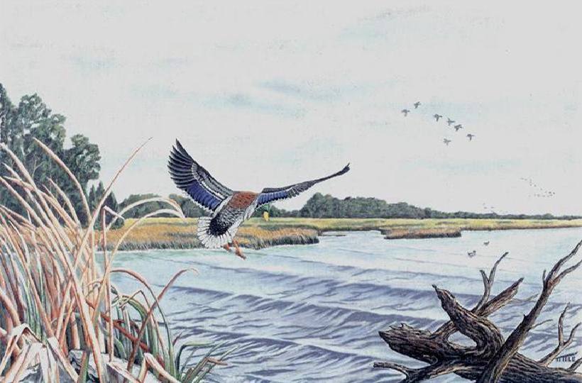 ROBERT TITTLE | ColumbusMakesArt.com (en-US)