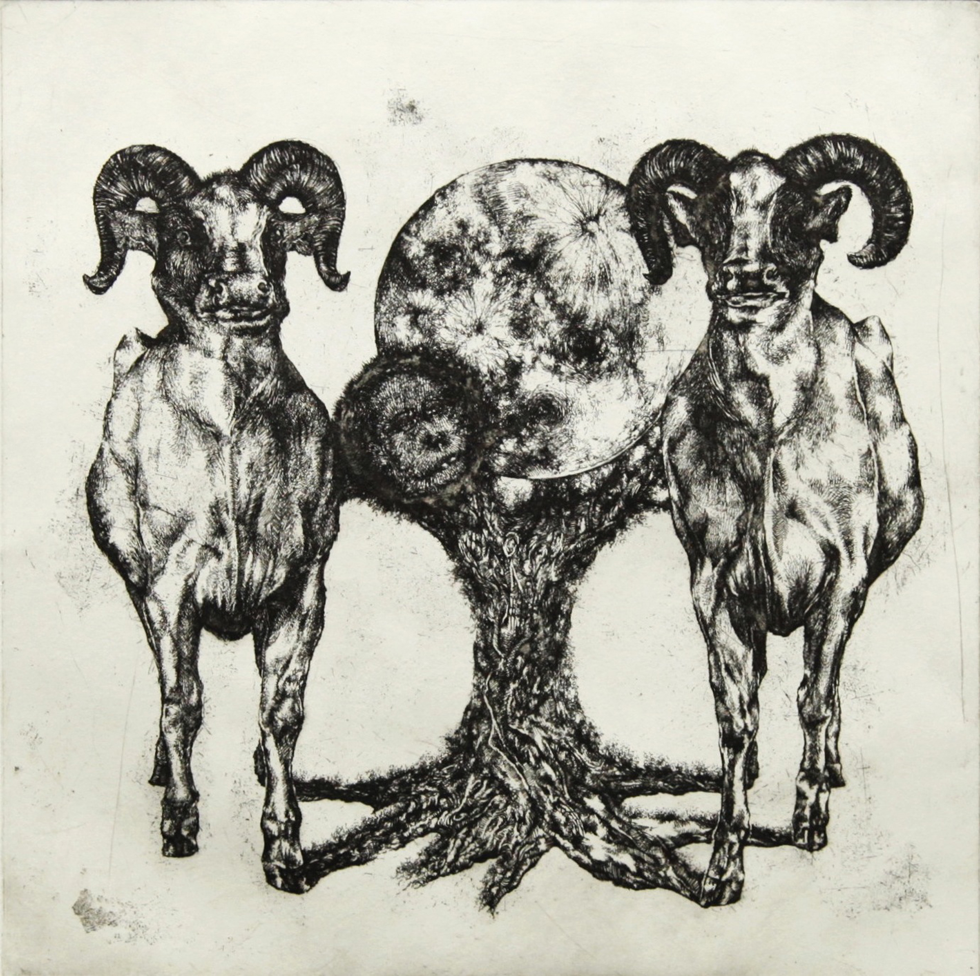 Maria DiFranco | ColumbusMakesArt.com (en-US)