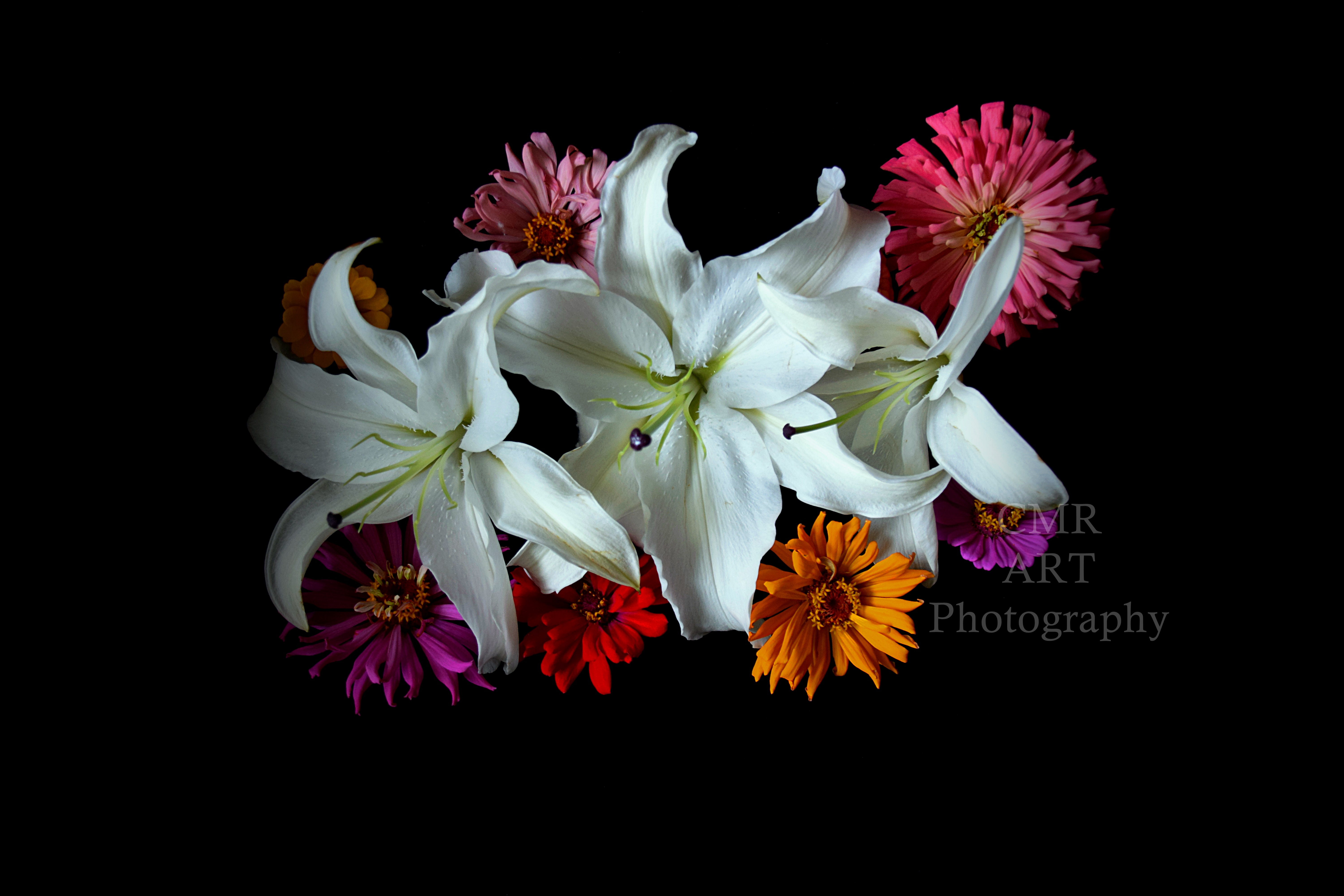 Christine Ruddy | ColumbusMakesArt.com (en-US)