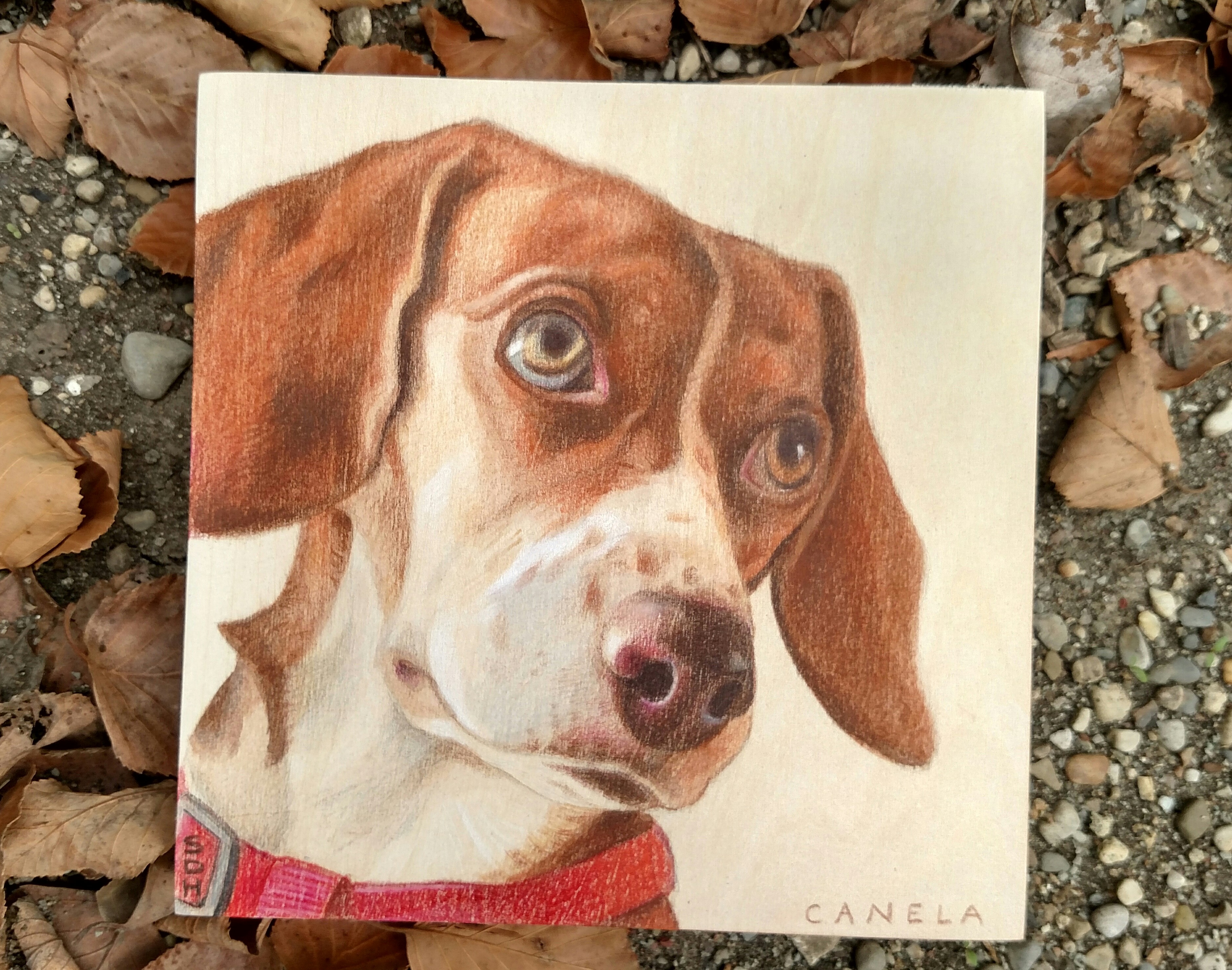 Sarah Hout | ColumbusMakesArt.com (en-US)